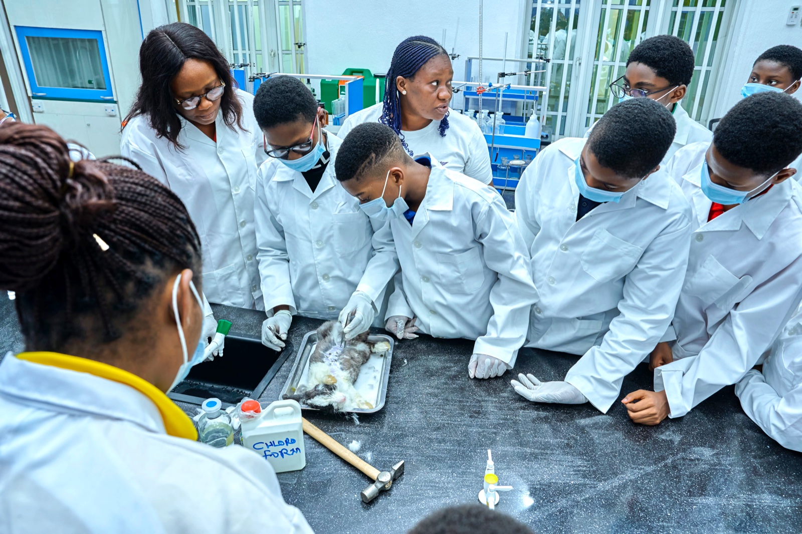 EXPLORING ANATOMY:RABBIT DISSECTION AT CRESTFORTH INTERNATIONAL SCHOOL ...