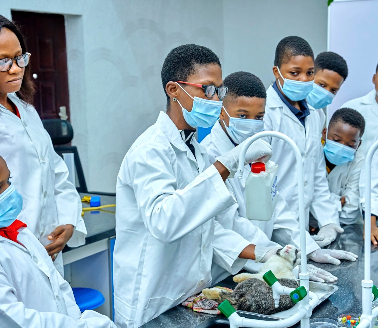 EXPLORING ANATOMY:RABBIT DISSECTION AT CRESTFORTH INTERNATIONAL SCHOOL ...